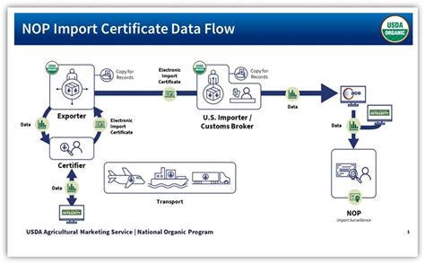 Strengthening Organic Enforcement Nop Import Certificates