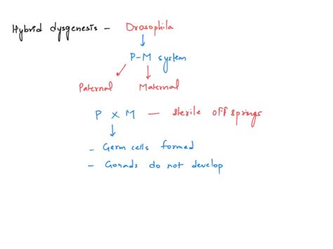 Solved In The Fruit Fly Drosophila Melanogaster A Transposable