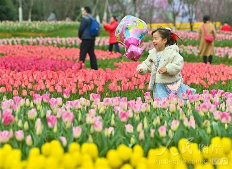 江西南昌：踏春赏花游人醉 人民图片网