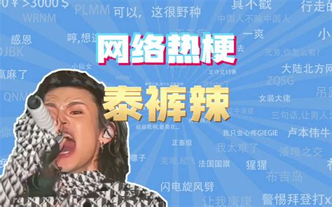 【网梗课代表】泰裤辣是什么梗？ 网梗课代表 网梗课代表 哔哩哔哩视频