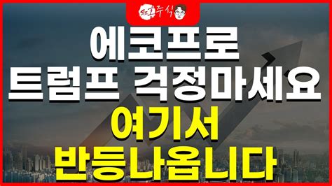 에코프로 트럼프 걱정마세요 여기서 반등나옵니다 Youtube