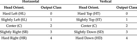 Summary Of The Proposed Output Data Classes Download Scientific Diagram