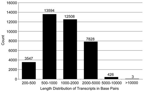 Length Distribution Of Transcripts In Base Pairs The Numbers Of