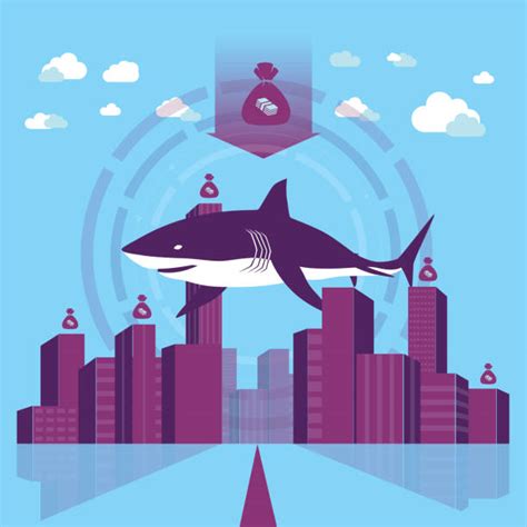 Misunderstood Shark