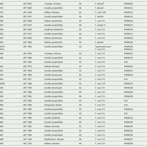 Identification Numbers Bat Species Locality And Molecular