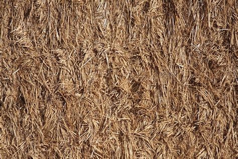 Free Straw Texture Photos And Pictures Freeimages