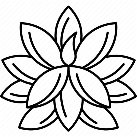 Agave Fox Tail Succulent Perennial Icon Download On Iconfinder