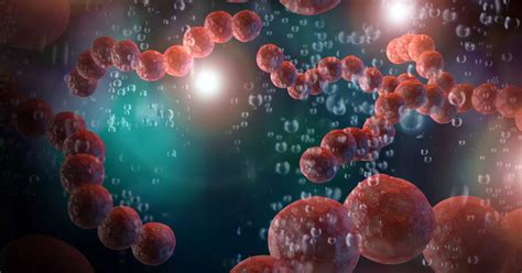 What Is Strep A The Signs To Look Out For As Hse Investigate Possible Link Between Infection