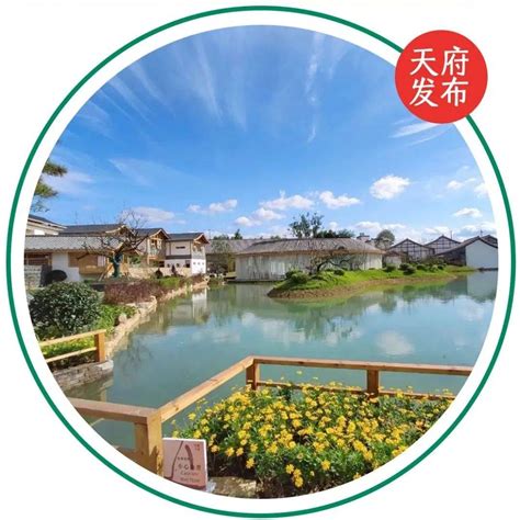 全省首批！普法法治茅香村