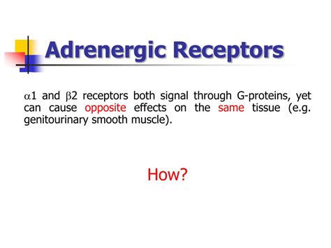 Ppt Signal Transduction By Adrenergic And Cholinergic Receptors Powerpoint Presentation Id