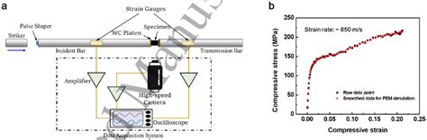 Fig S5 Material Parameters Acquisition For Fem Simulation A Download Scientific Diagram