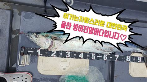 바다는장판에 조류도안가는상황힘든상황속 대삼치 출현참치 라이징대삼치 울산낚시 Youtube
