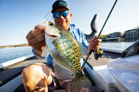 Gamakatsu Introduces New Crappie Hooks Western Outdoor News