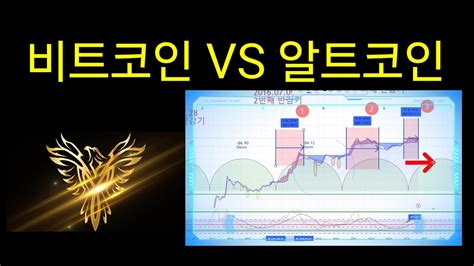 비트코인 Vs 알트코인 상승의 주인공은 암호화폐 리플 Xrp 비트코인 Btc Youtube