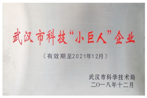 武汉市科技小巨人企业 武汉松盛光电