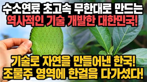 경제 수소연료 초고속 무한대로 만드는 역사적인 기술 개발한 대한민국 기술로 자연을 만들어낸 한국 조물주 영역에 한걸음 다가섰다 Youtube