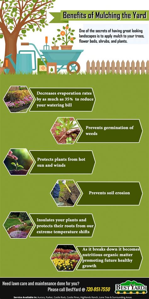 Benefits Of Mulching The Yard Mulching Lawn Care Companies Lawn Care
