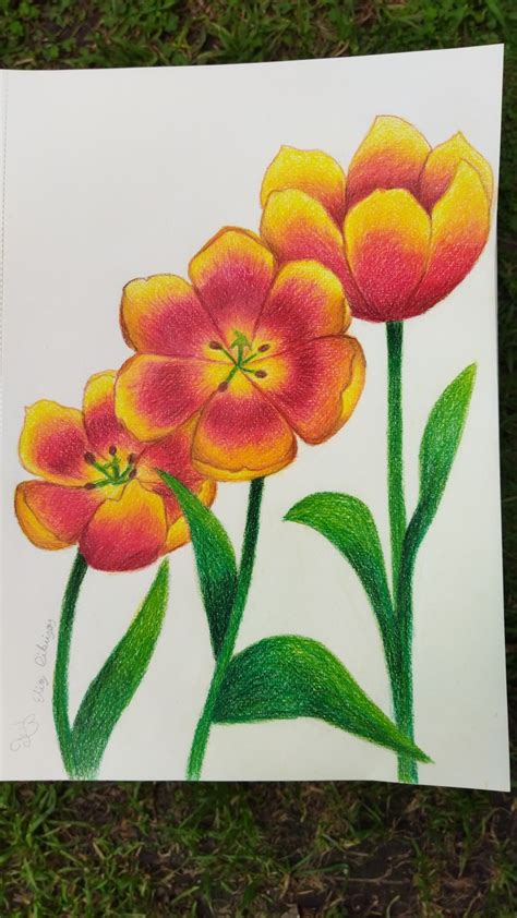 Dibujos Flores Realistas