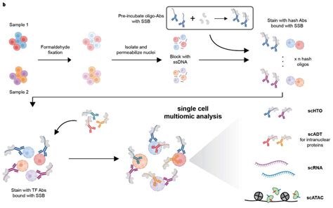 Neat Seq Single Cell Genomics Assays”