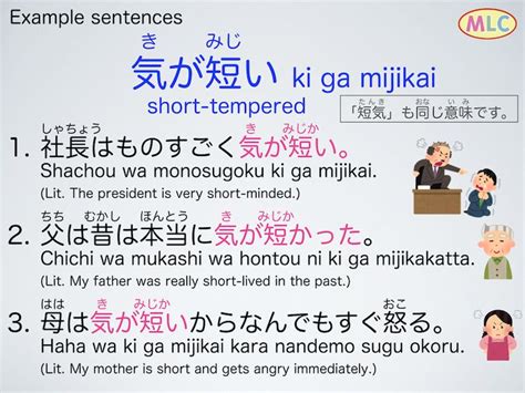 Example Sentences