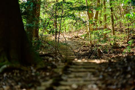 茨城県の御前山ハイキングコースに行ってきた 大佐フォト