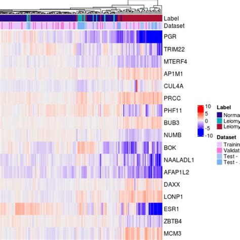 Graphical Representation Of The Selected 17 Genes Heat Map Plot Of The