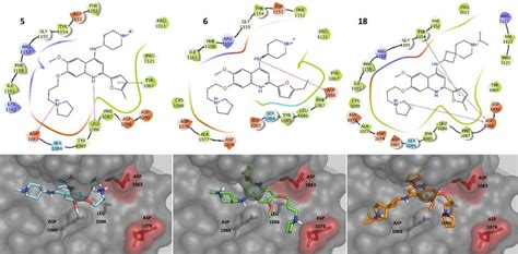 Predicted Binding Poses Of Selective Compounds Against G9a Key Amino