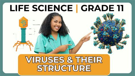 Grade 11 Life Science Viruses And Their Structure Explained 🦠 Youtube