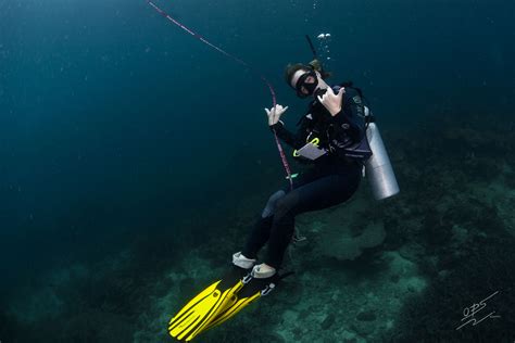 피피섬 어드밴스드 오픈워터 펀 다이빙 강습 자격증 필요 Padi 센터