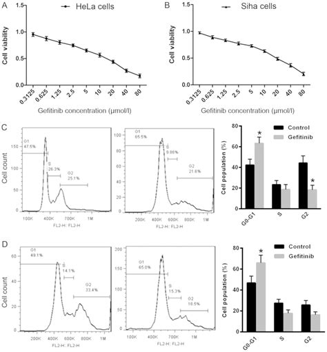 Gefitinib Suppresses Cervical Cancer Progression By Inhibiting Cell
