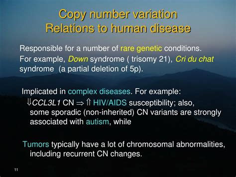 PPT Copy Number Variation CNV What Is It PowerPoint Presentation Free Download ID 3409793