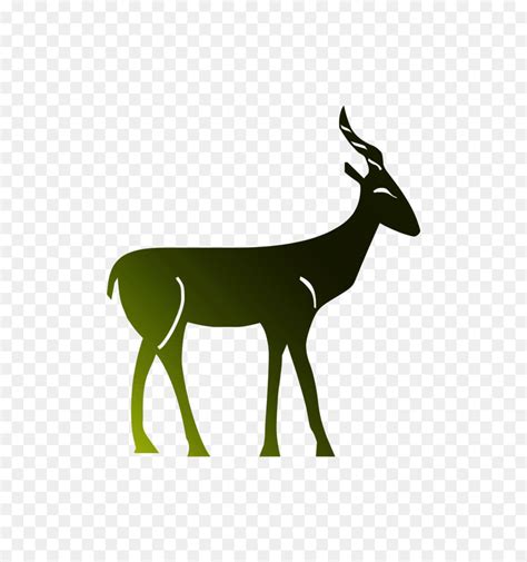 White Tailed Deer Deer Hunting Clip Art Deer Png Download 16972400