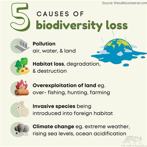 Biodiversity Loss Causes