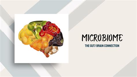 Microbiome The Gut Brain Connection
