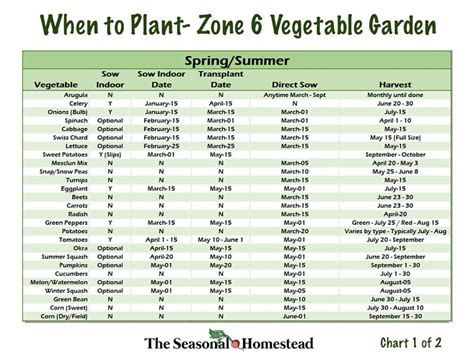 Zone 6 Seed Starting Calendar Farra Sara Ann