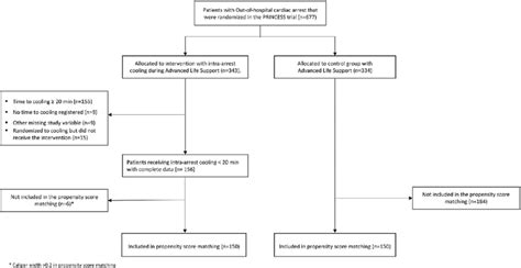 patients randomization flowchart download scientific diagram