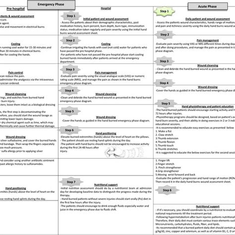 Hand Burn Management Algorithm Download Scientific Diagram Hand Burn Management Algorithm Download Scientific Diagram