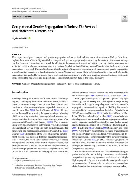 Pdf Occupational Gender Segregation In Turkey The Vertical And