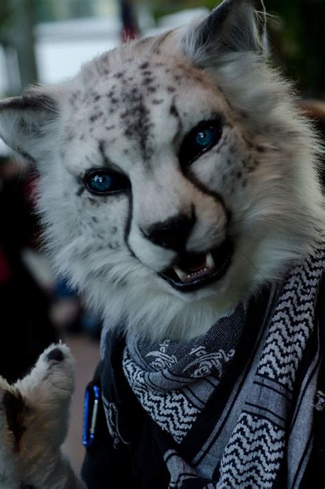 Pin On Furries