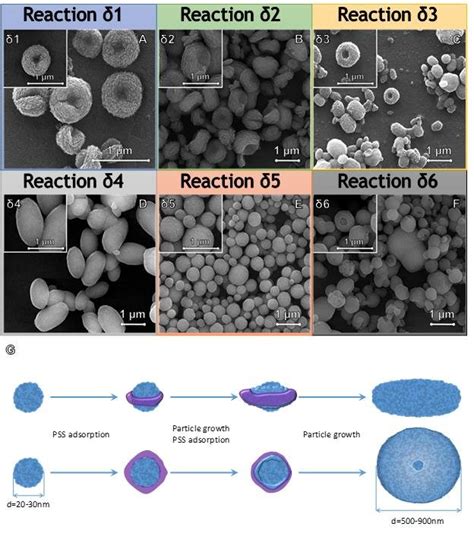 Influence Of Organic Additives On Caco3 Particles Formation A Sem