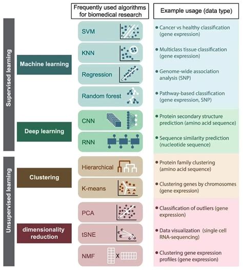 Bhaskara Reddy Sannapureddy On Linkedin Algorithms Biomedical