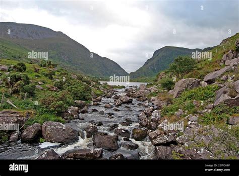 Stream In The Near Of The Old Weir Bridge In The Killarney National