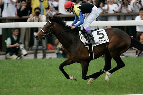 武豊も愛したディープインパクト。人間なら50代、飛ぶように逝く。 競馬 Number Web ナンバー