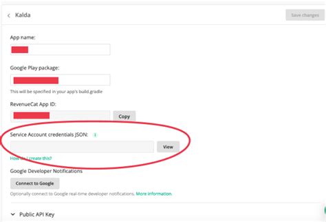 How Do I Edit The Project Settings Page With My Service Account Credentials Json Revenuecat