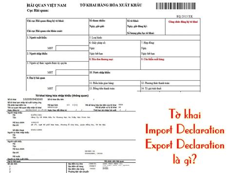 Import Export Declaration Là Gì Được Quy định Cụ Thể Ra Sao