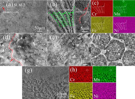 Figure 2 From Hierarchical Microstructure Of Laser Powder Bed Fusion