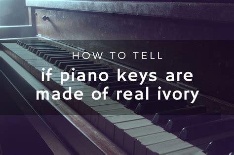 Guide How To Tell If Piano Keys Are Ivory 2025