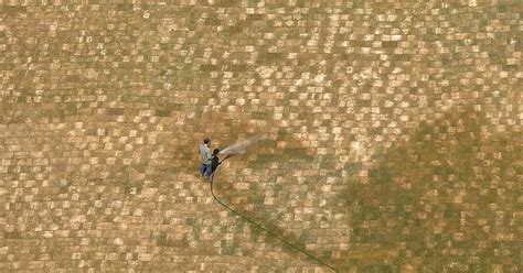 서울광장 새잔디와 꽃으로 봄 단장4월 말부터 이용