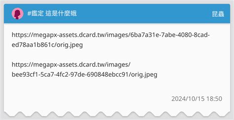 鑑定 這是什麼蛾 昆蟲板 Dcard