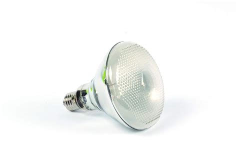 Reptech D3 Mercury Vapor Lamp 160 Watt Uva Uvb Heat Pawsplanet
